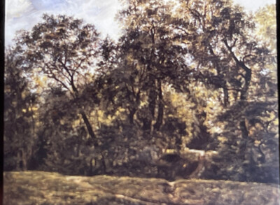 Henri Rousseau "Park At Saint-Cloud" French Art 35mm Slide | eBay