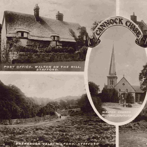 Cannock Chase Multiview Staffordshire Post Office - 1926 WHS Real Photo ...