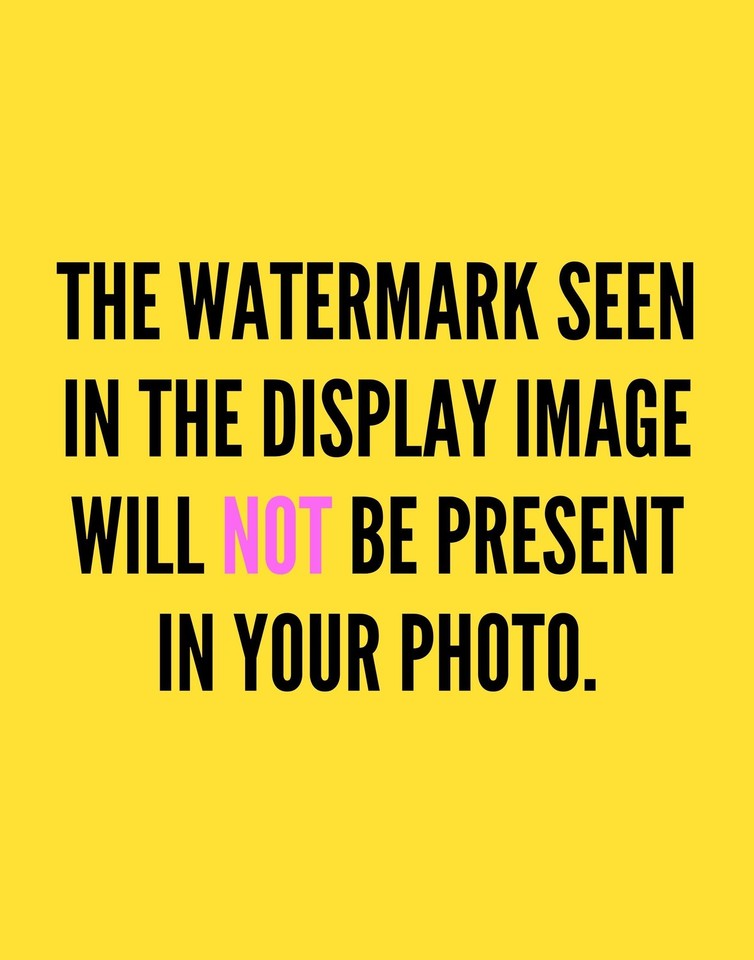 Mummy Movie Print Boris Karloff Classic Horror Film Monster Art Decor ...