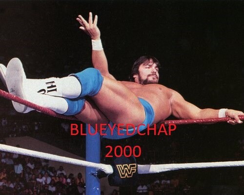 LANNY POFFO WRESTLER 8 X 10 WRESTLING PHOTO WWF WCW | eBay
