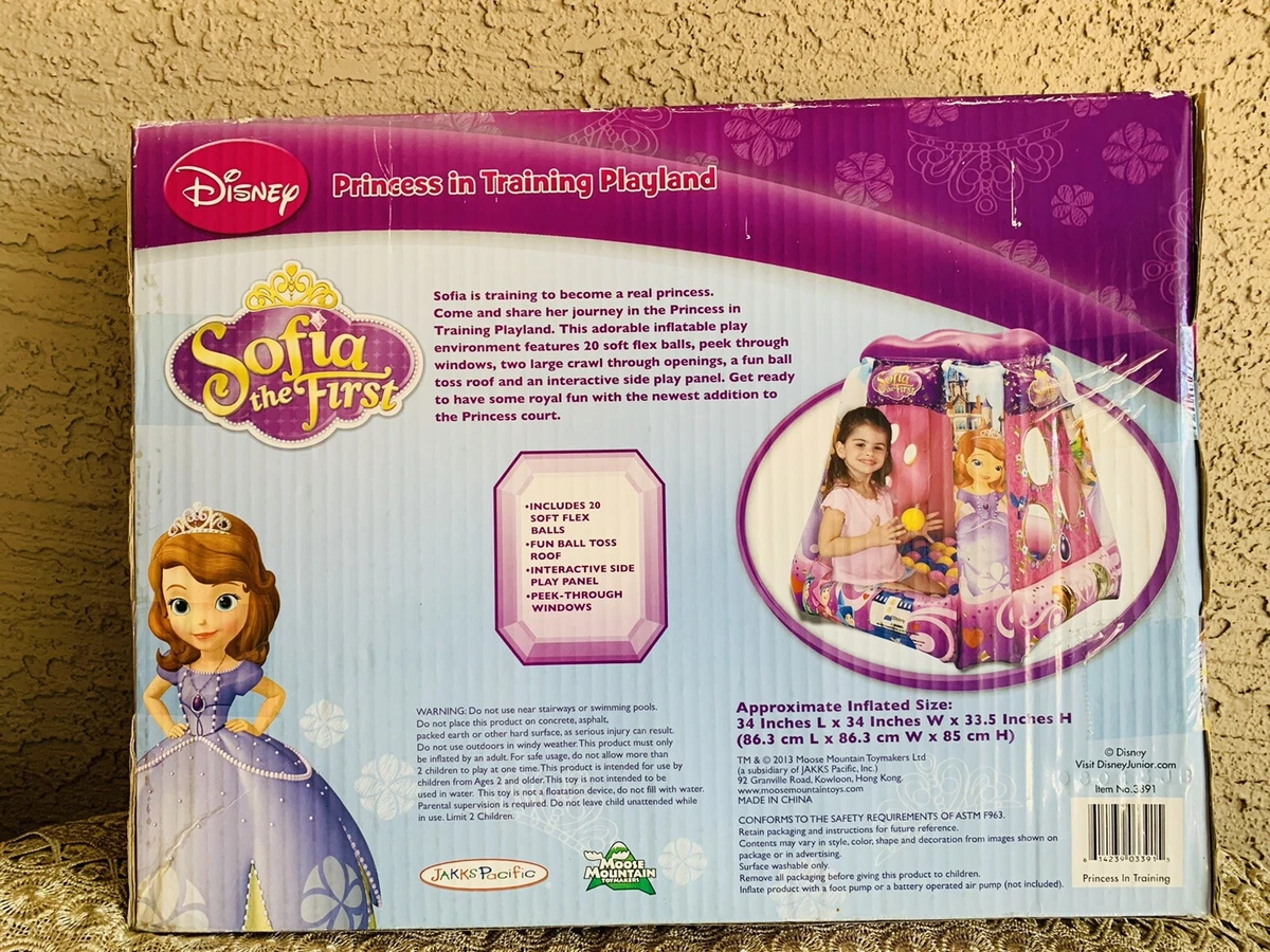 Princess In Training