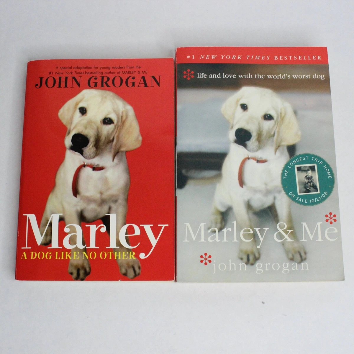 Marley A Dog Like No Other