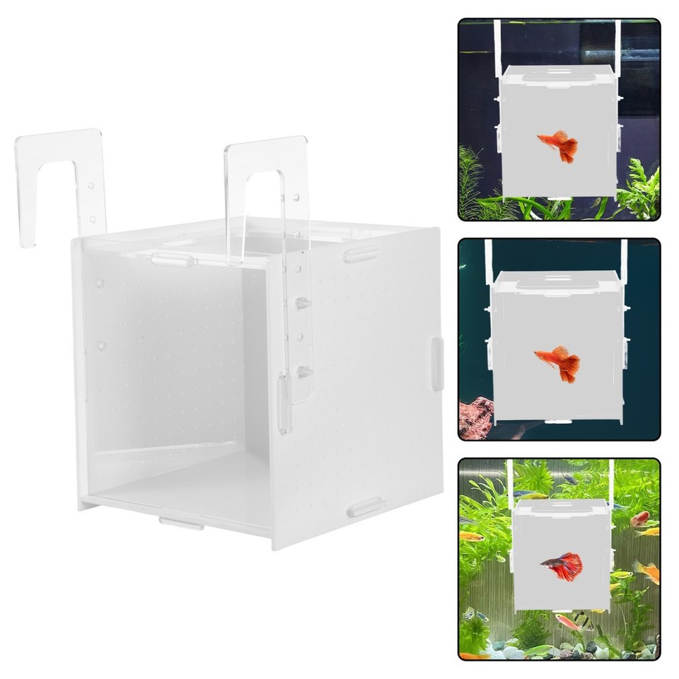 Fry Breeding Isolation Box Fish Separation Breeder Egg Incubator | eBay ...