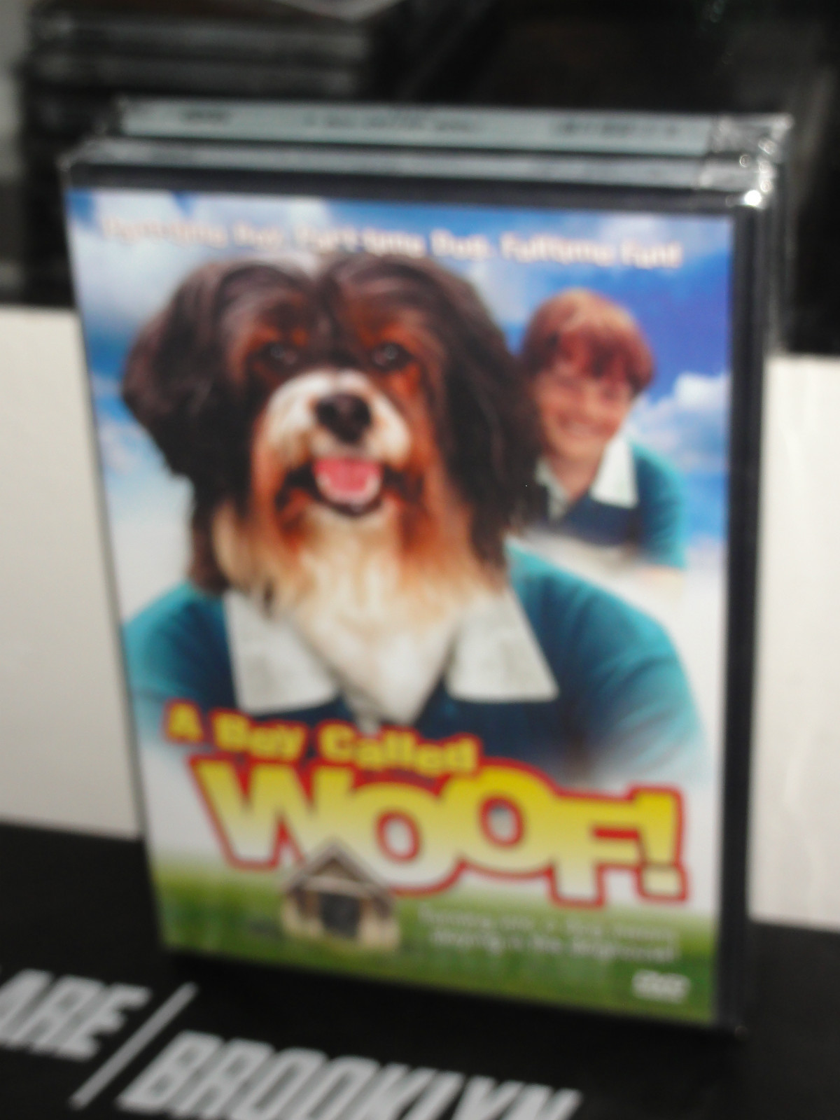 A Boy Called Woof (DVD) David Cobham, Edward Fidoe, Sarah Smart, BRAND ...