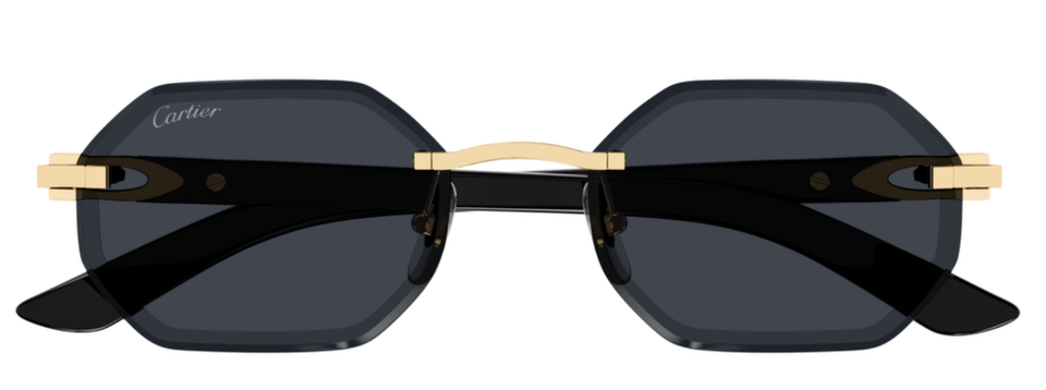 Cartier CT0439S 001 Gold Sunglasses Genuine Horn Rimless New Authentic ...