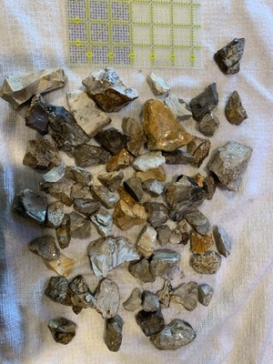 Natural Flint/Chert for Flintknapping, Primitive Tools, Lapidar - 5lb ...