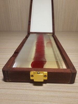 Dexter Morgan Blood Slide Trophy Box Reproduction (Made to Order) | eBay