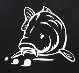 CLASSIC 'Feeding Carp' White Fishing Car Decal Sticker 20 x 20cm by Big ...