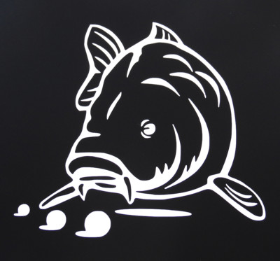 CLASSIC 'Feeding Carp' White Fishing Car Decal Sticker 20 x 20cm by Big ...