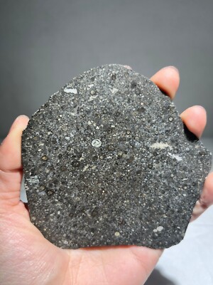Allende CV3 Meteorite First meteorite with alien proteins Stone ...