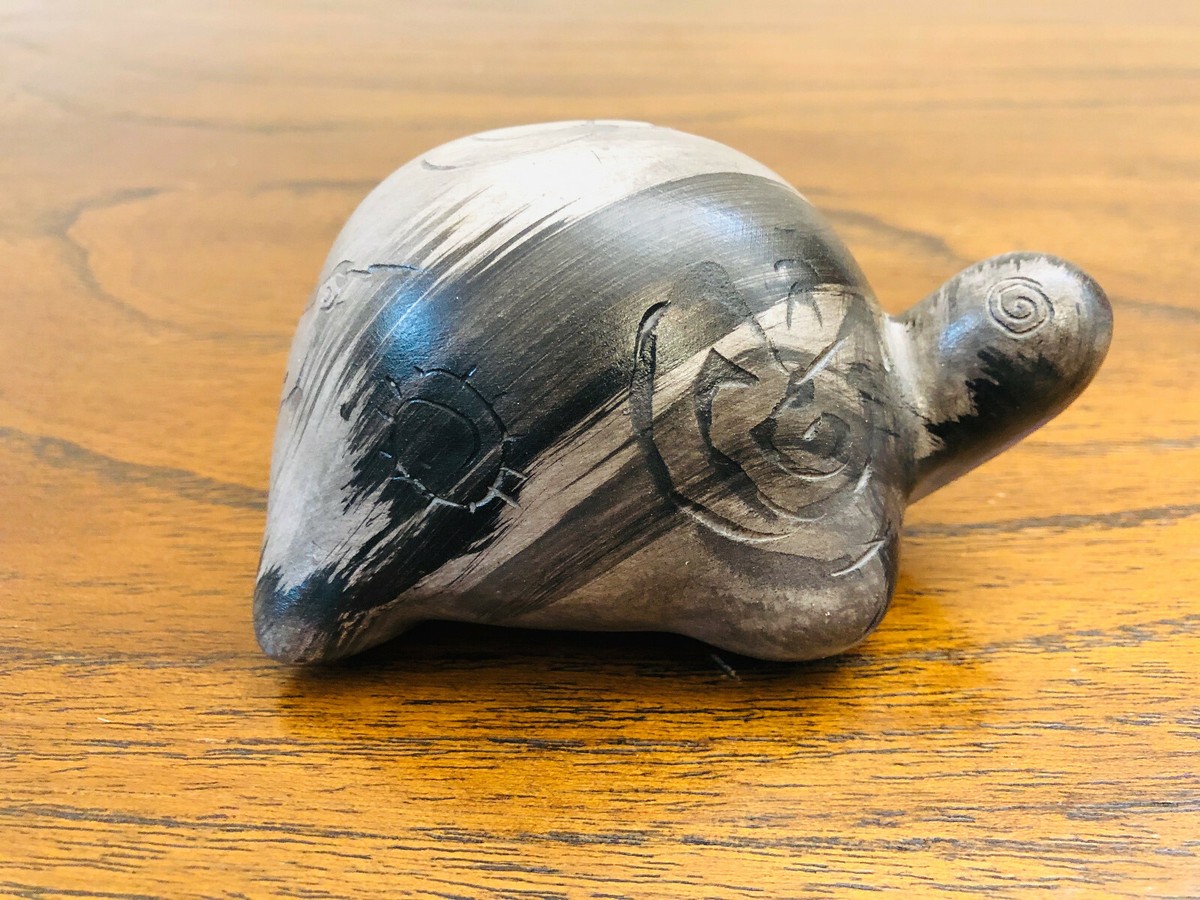 Native American Turtle Art