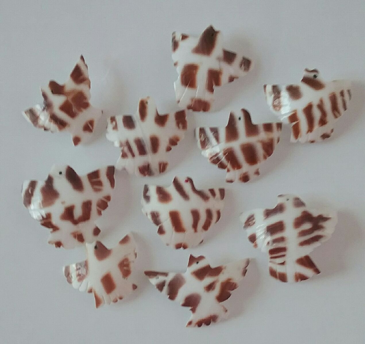 10 PCS POLISHED NATURAL SHELL FETISH CARVED BIRDS BEADS PENDANTS ...