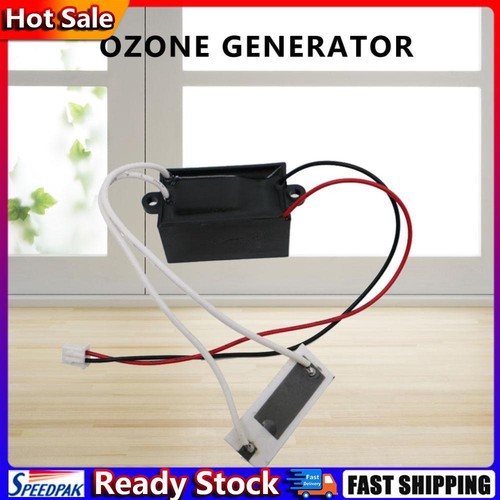 Ozone Generator 100mg Ozone Water Air Purifier for Fish Tank Aquarium ...