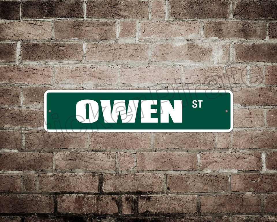 *Aluminum* Owen 4" x 18" Metal Novelty Street Sign SS 2806 | eBay