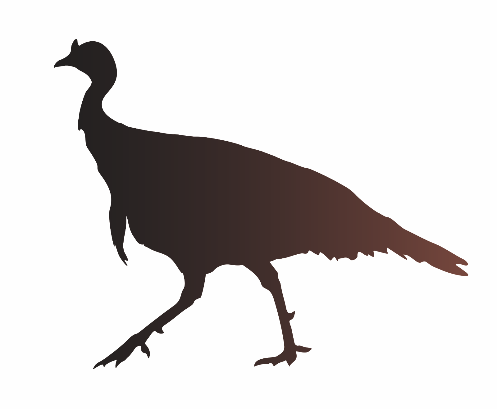 Stencils by Joanie Wild Tom Turkey Rustic Outdoor Spring Hunt Bird DIY ...