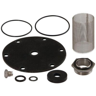 Watts 0864945 Series RK-LF25AUB-Z4 1-1/2 In. Valve Repair Kit | eBay