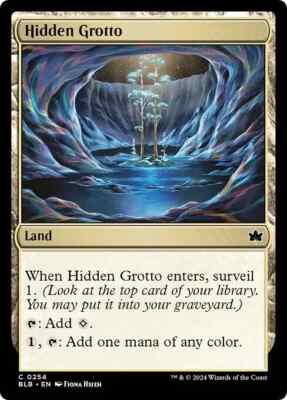 X4 Hidden Grotto Bloomburrow Near Mint MTG Magic DNA GAMES | eBay