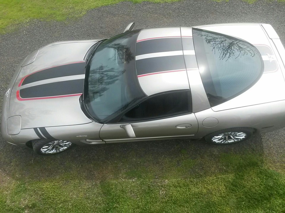 Corvette Chevrolet C5 Racing Stripes Rally Stripes Decal Kit 1997-04 2 ...