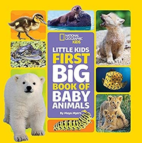 National Geographic Little Kids First Big Book of Baby Animals Ma | eBay