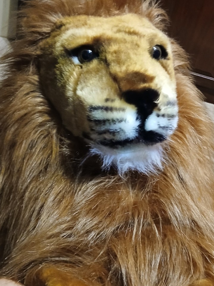 Melissa and Doug Giant Lion Lifelike Stuffed Animal (Aprox.6 feet long ...