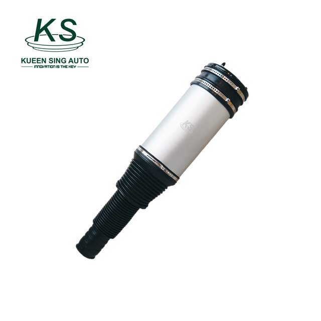 Rear Left Air Suspension Air Spring Bag Kit 2203205013 for Mercedes ...