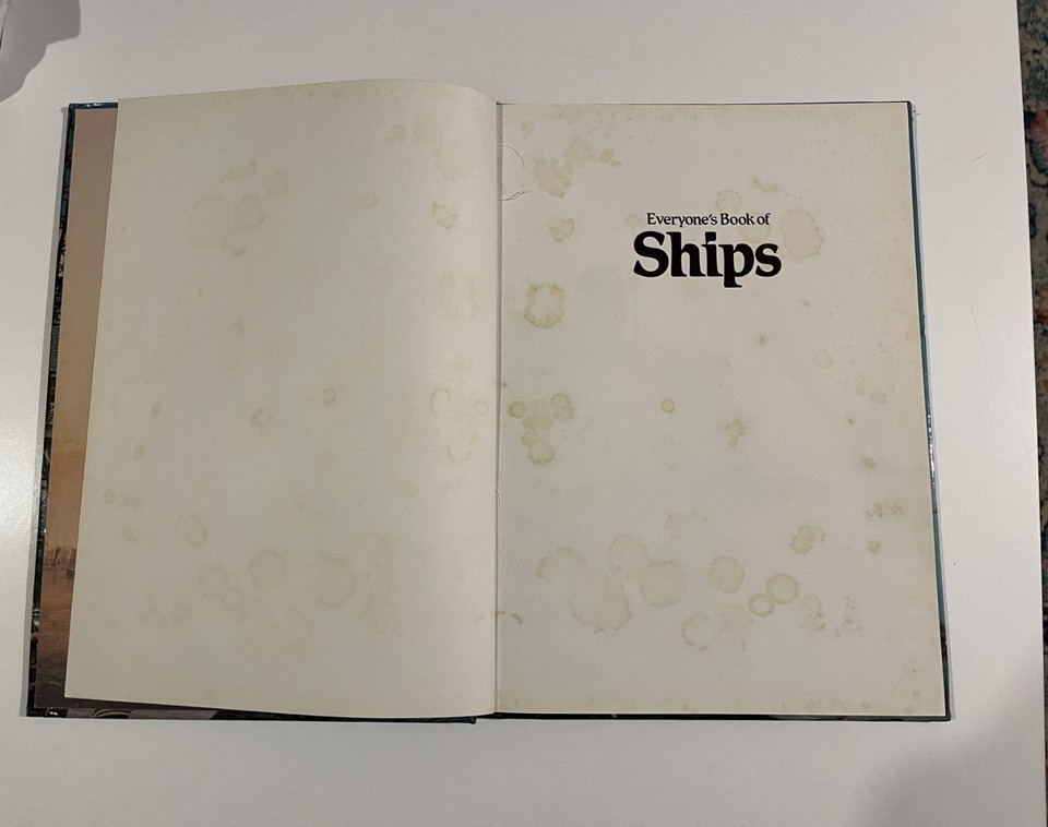 Everyone's Book of Ships by Michael Leitch – WHSmith Exclusive Edition ...