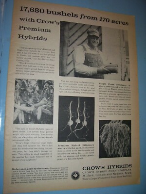 VINTAGE SEED CORN ADVERTISING -10" x 14" -CROWS HYBRID SEED CORN ...