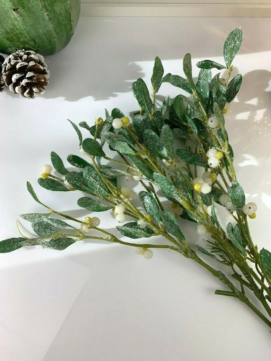 Mistletoe