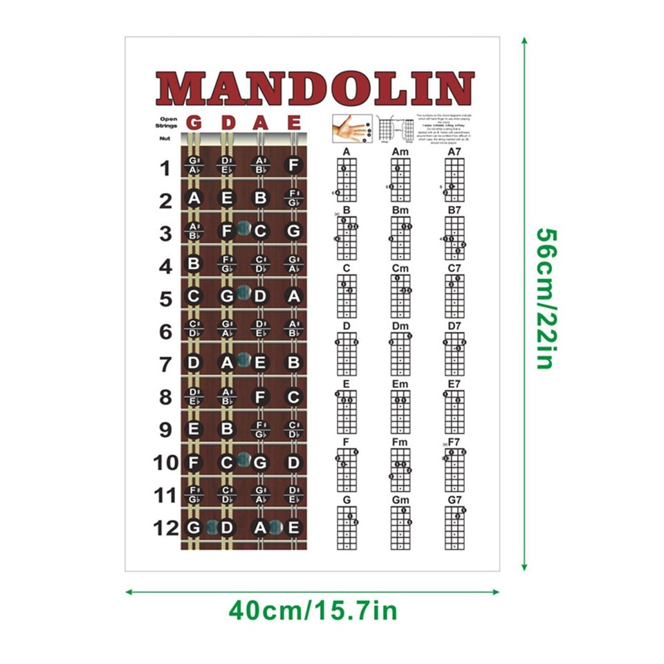 Mandolin Chords Chart Poster Reference Guide Mandolin | eBay Australia