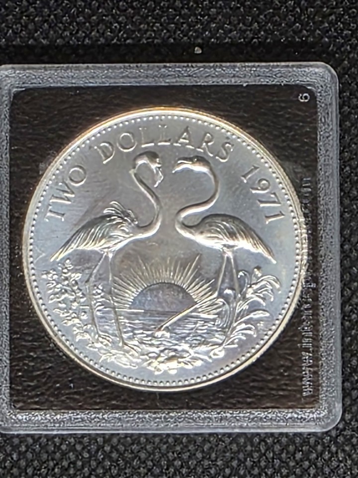 1971 The BAHAMAS Elizabeth II FLAMINGO Birds LARGE SILVER 2 Dollars ...