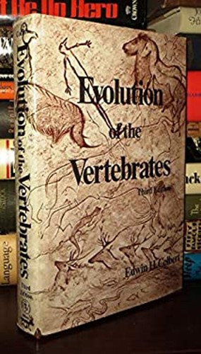 Évolution Des Vertébrés : Une Histoire Des Animaux À Colonne Vertébrale ...