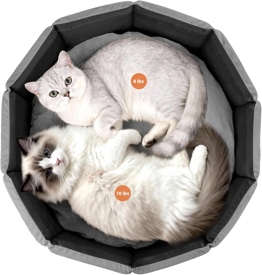 Pjyucien Large Cat Bed, Washable 20 Inch round Kitten Bed for 2 Cats ...