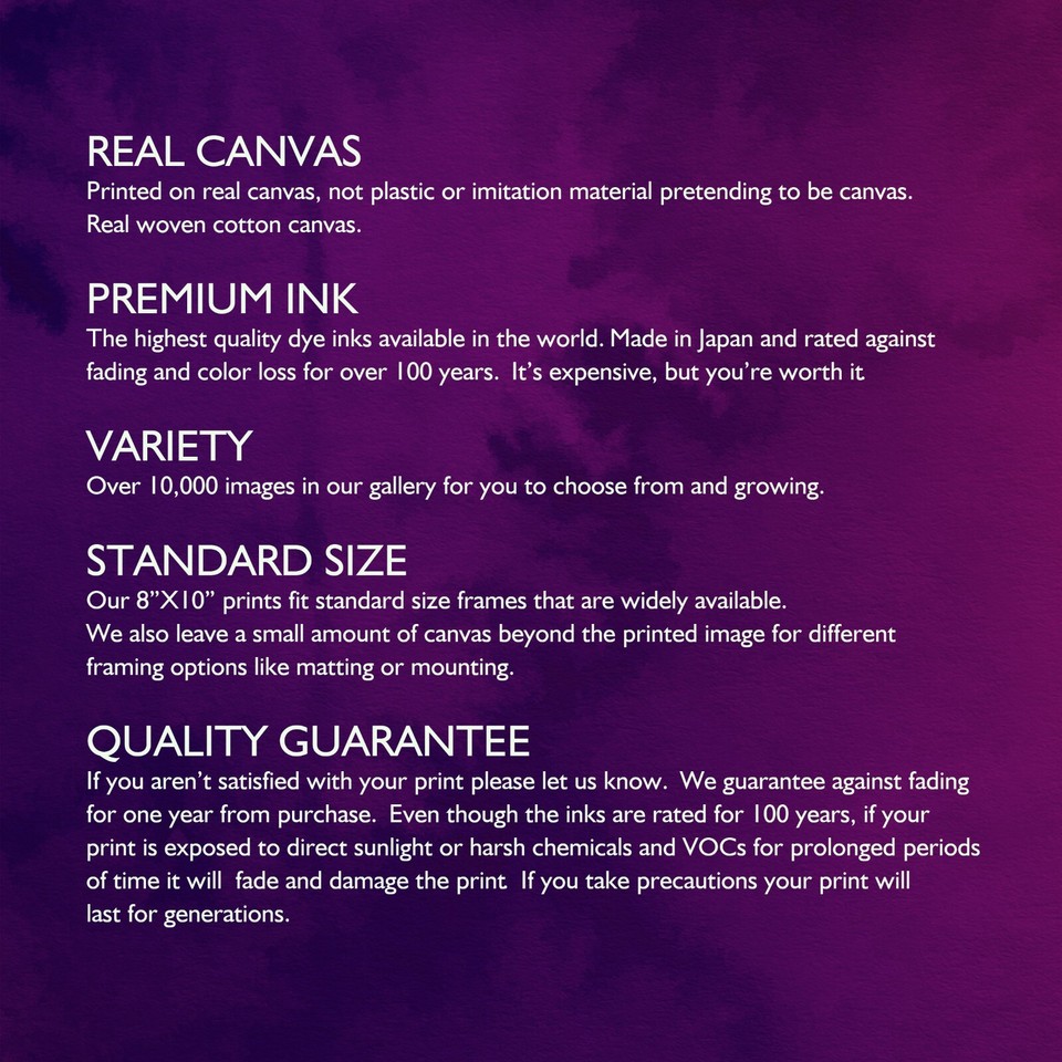 EWE IN ANGUISH LAMENTING DEATH OF BABY SHEEP LAMB PAINTING ART REAL ...