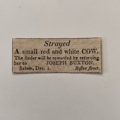 Strayed Small Red & White Cow Joseph Buxton 1820 Salem MA Clipping SAJ2 ...
