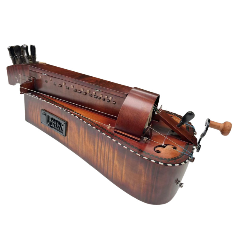 Electric Hurdy Gurdy