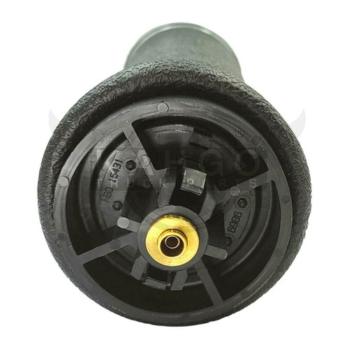 2017-2020 Freightliner Cascadia Cab Air Spring | FI-W02-377-7215 | 18 ...