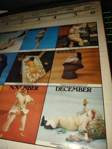 Bridget's Diet Calendar 1991 Unopened Ivory Tower Publishing Kitschy ...