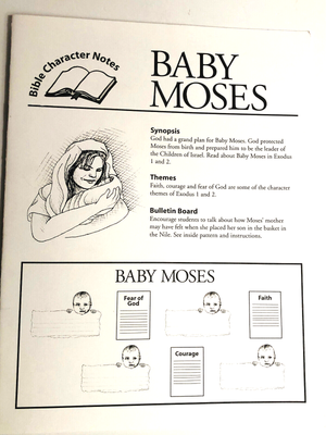 The 12 Spies Moses Hidden Picture Puzzle