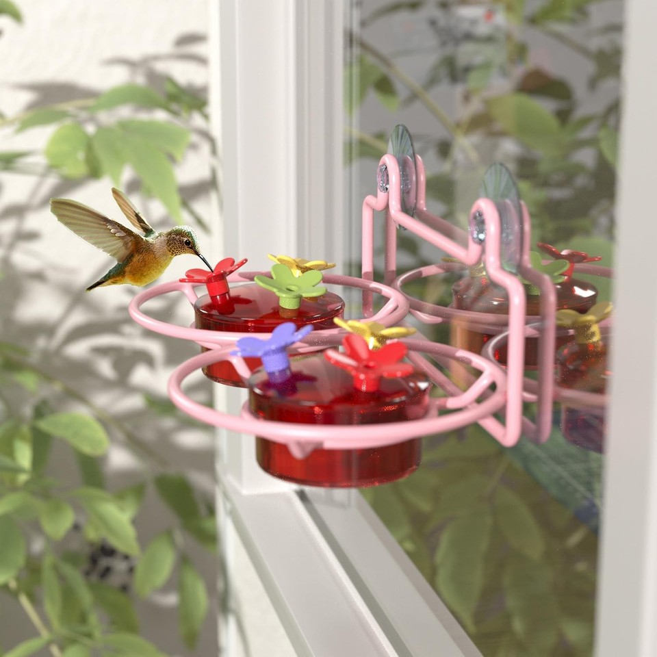 2 Pack Window Hummingbird Feeder, Small Feeder for 2PC-Pink | eBay UK