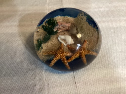 Vintage Tarax Infinity Products Glass Lucite Paperweight Sea Scape Star ...