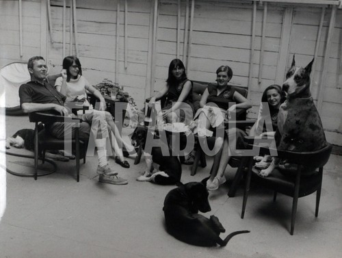 Photo de presse vintage Jim - Buck, Dogsitter À New York, | eBay