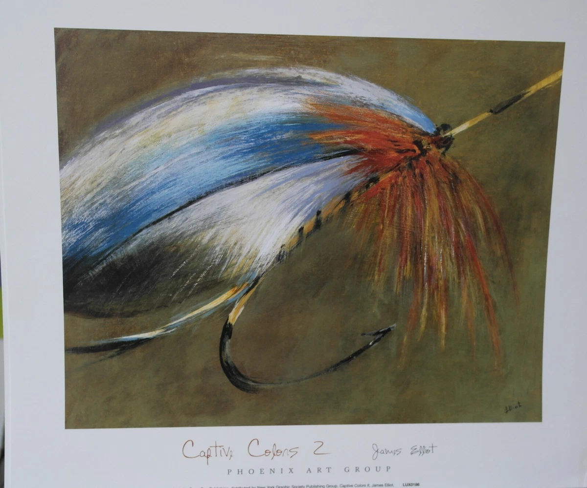 Colorful Fly Fishing Paintings