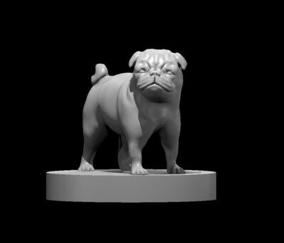 Pug Dog Familiar Monster Manual 28mm Scale DND D&D Tabletop Mini | eBay