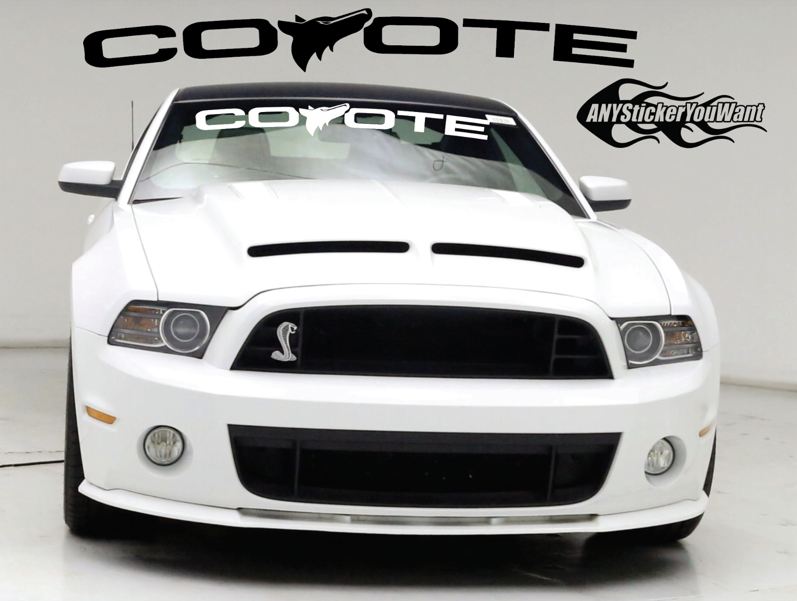 Mustang Coyote Windshield Graphic Vinyl Decal Sticker FITS Ford Mustang ...