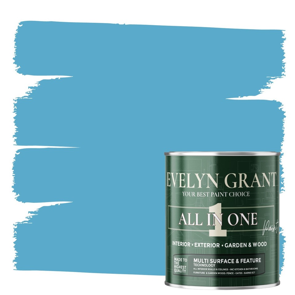 Evelyn Grant All-IN-ONE Paint & Primer Multi-Surface Paint Interior And ...