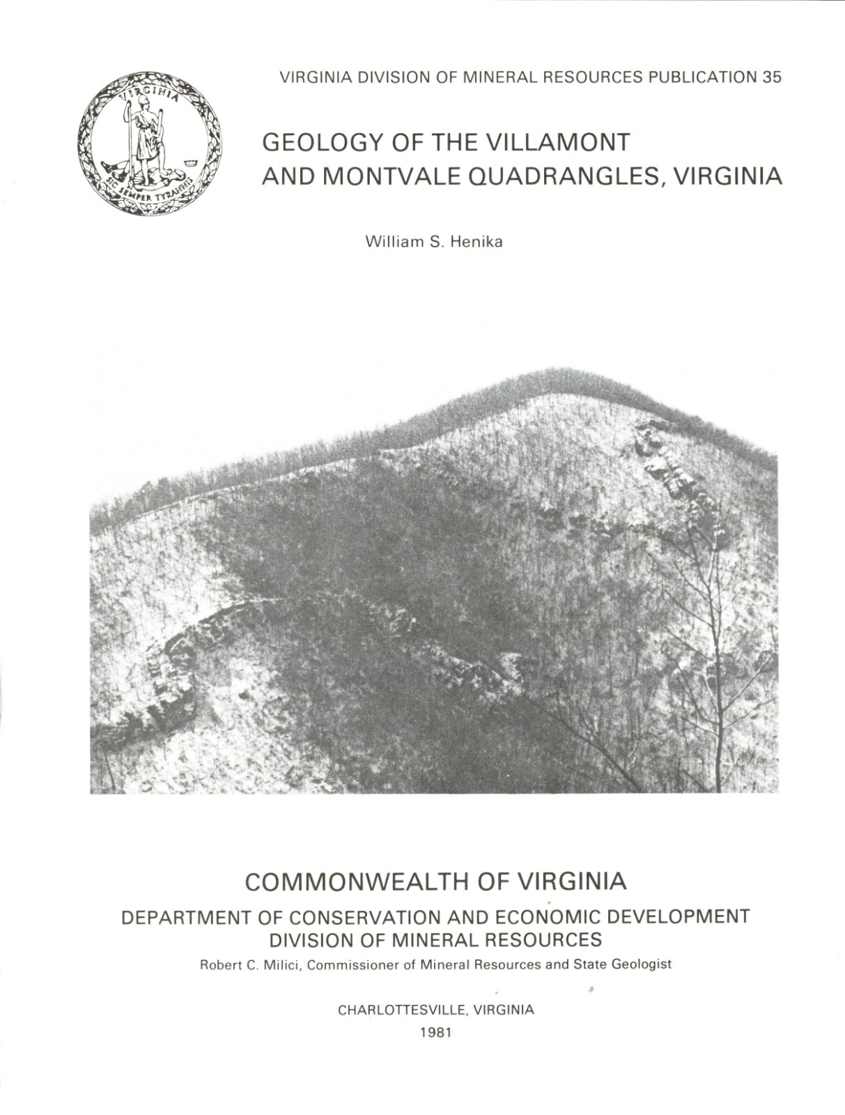 Geology of the Villamont and Montvale Quadrangles, Virginia | eBay