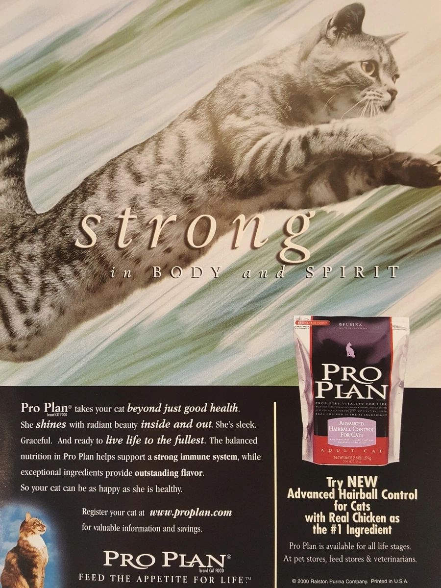 Ralston Purina Cat Food Hotsell | centralcountiesservices.org