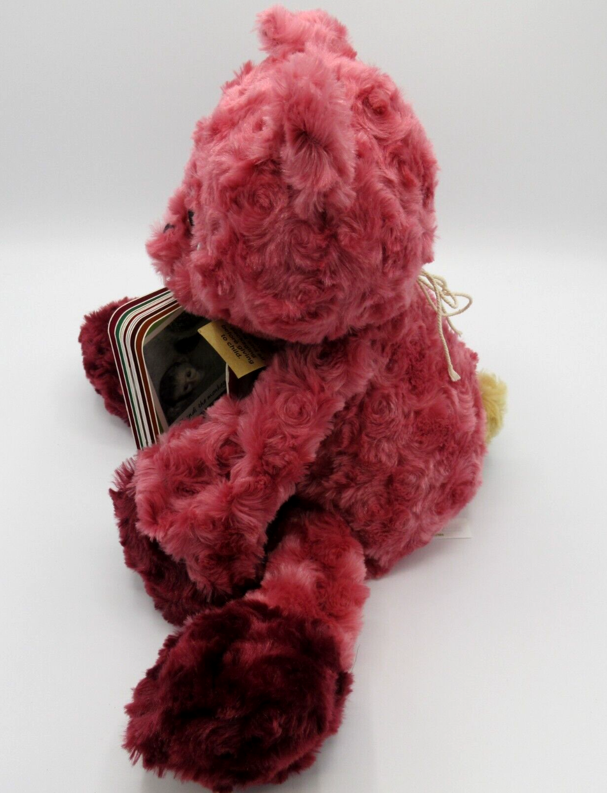 OOMFY PLUSH GENET Pink Wild Cat Ringed Tail 19" Stuffed w/ True Stories ...