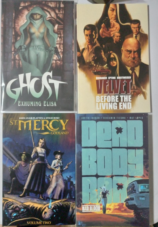 Huge tpb lot 20 books Girls w Guns GHOST VELVET BARB WIRE & others LOT ...