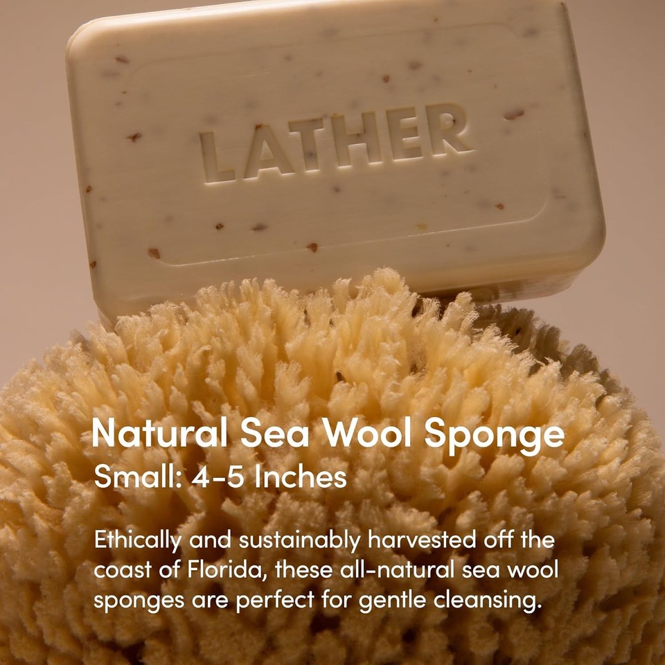 Natural Sea Wool Sponge, 4-5" - Organic Exfoliating Body Scrubber | eBay